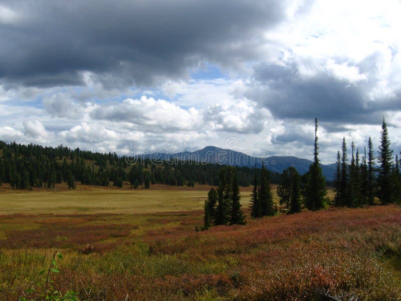 Fall in Sayan stock image. Image of summer, highlands - 36787223