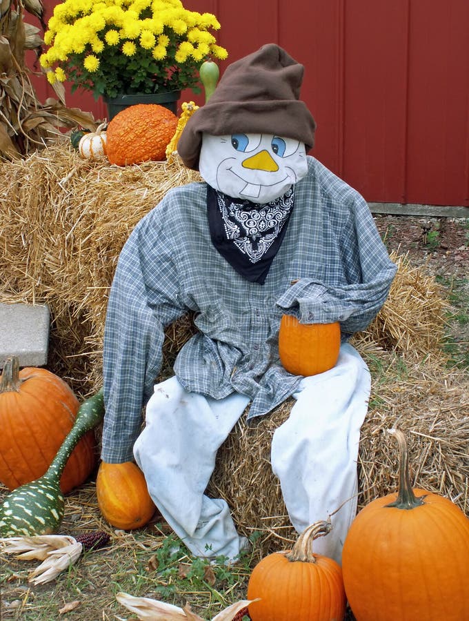 Fall Scarecrow stock photo. Image of white, holidays - 16526572