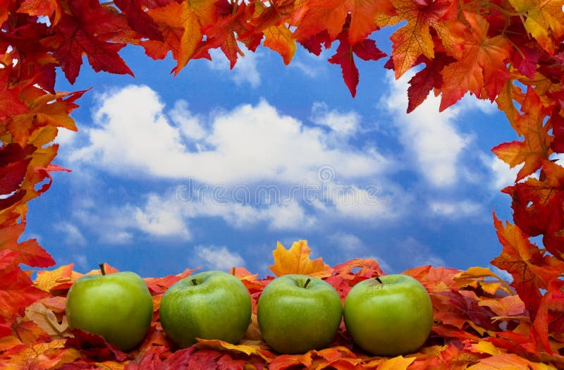 Fall Scene stock image. Image of snack, healthy, fall - 7092773