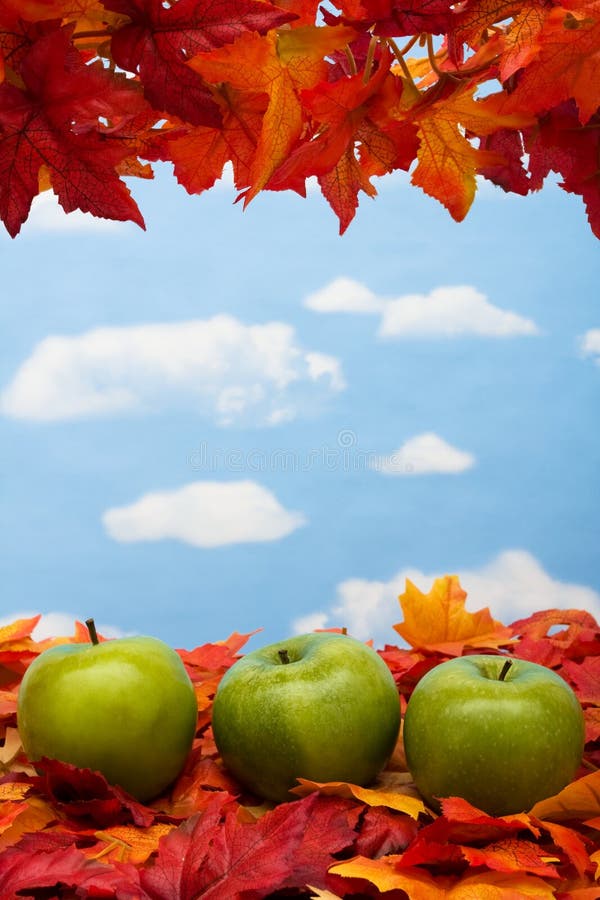 Fall Scene stock photo. Image of autumn, blue, snack, decoration - 7139196