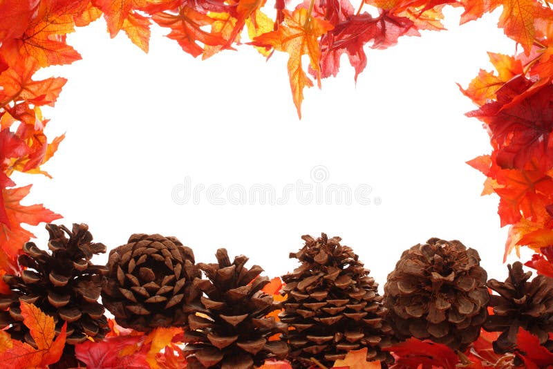 Fall Scene Border stock image. Image of border, plant - 3359325