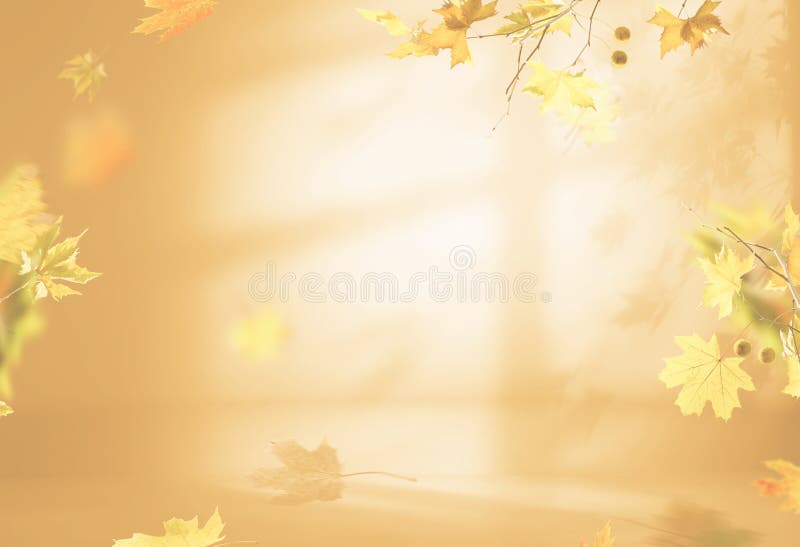 Fall Scene in Cream Color Shades. Autumn Background with Shadow of ...