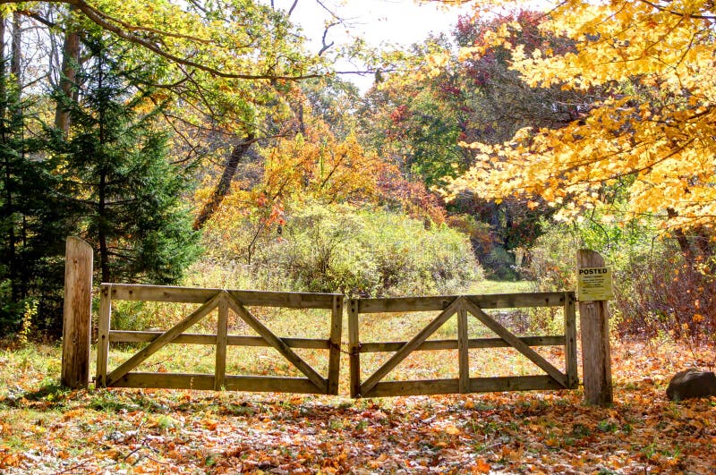 Fall Scene with Field and Colorfull Leaves Stock Photo - Image of cloud ...