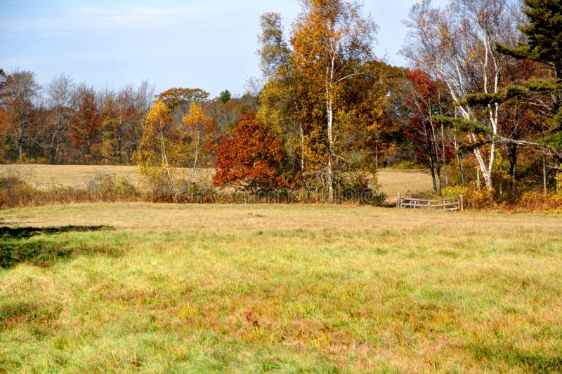 Fall Scene with Field and Colorfull Leaves Stock Image - Image of ...