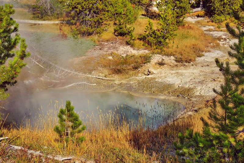 Fall Scene with Hot Springs in Yellowstone Stock Photo - Image of ...
