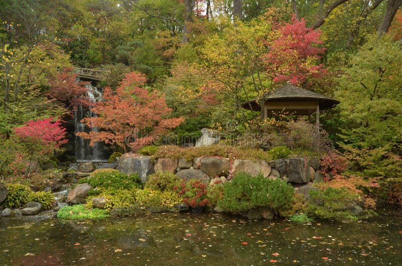 A Fall Scene in a Japanese Garden Stock Image - Image of garden, trees ...
