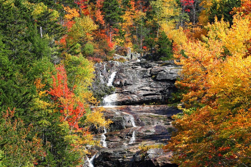 Fall Scene with Leaves of Various Colors Stock Image - Image of fall ...