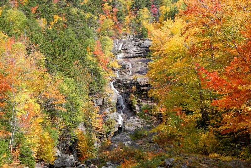 Fall Scene with Leaves of Various Colors Stock Photo - Image of fall ...