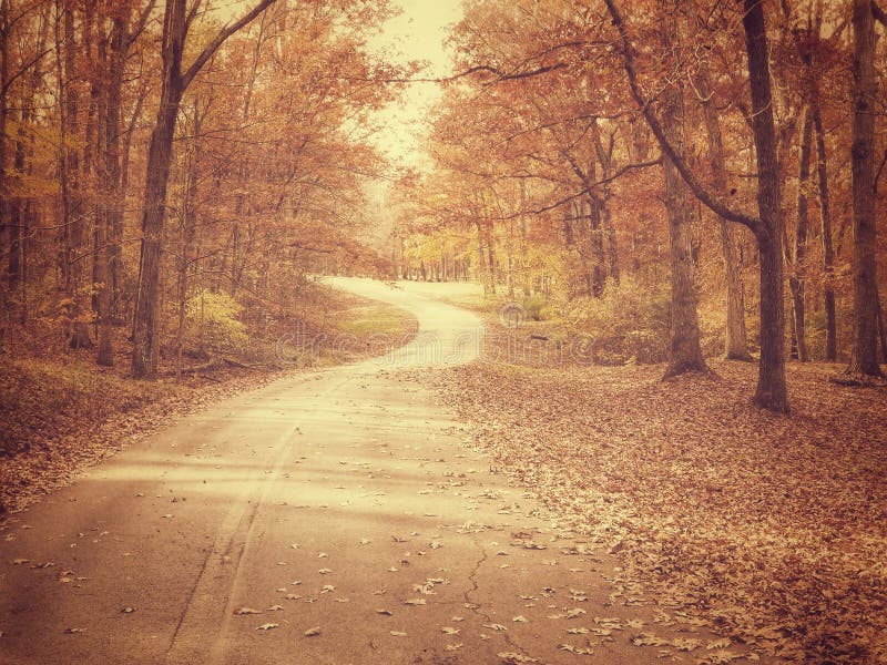 Fall Scene with Sepia Filter Tone Stock Photo - Image of color, change ...