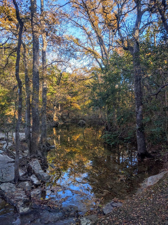Fall scene stock photo. Image of nice, tree, water, trees - 63426416