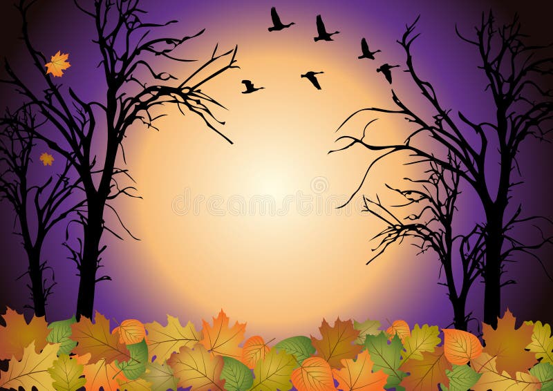 Fall scenery stock vector. Illustration of forest, graphic - 11258871