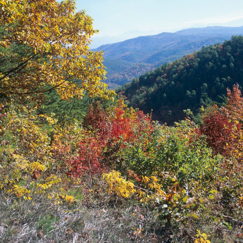 Fall scenery stock photo. Image of range, fall, branches - 2070310