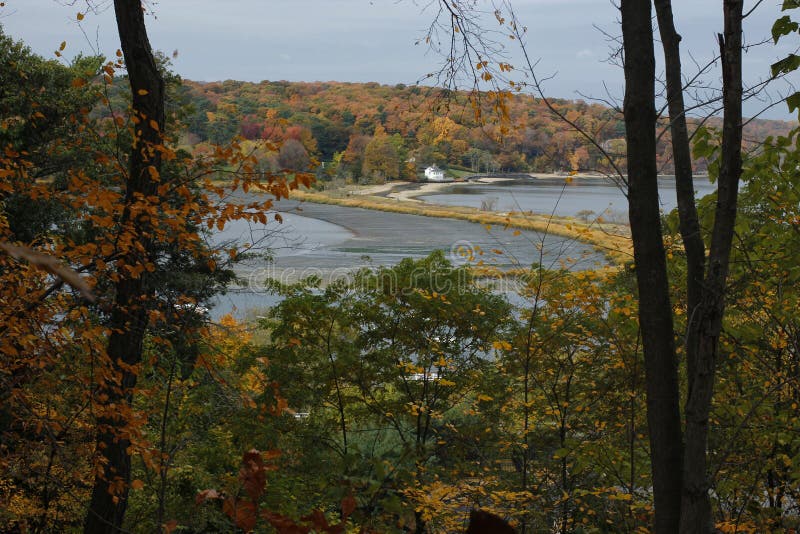 Cold Spring Harbor State Park 4 Stock Image - Image of tree, state ...