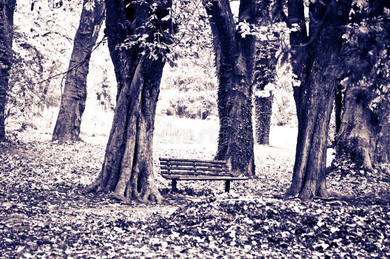 Fall Scenery - Old Bluish Make Stock Photo - Image of heaps, bench ...