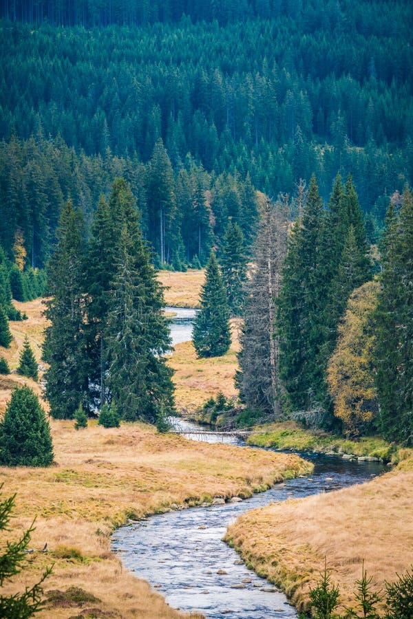 Fall Scenery of a River Winding through Meadows in the Modrava Valley ...