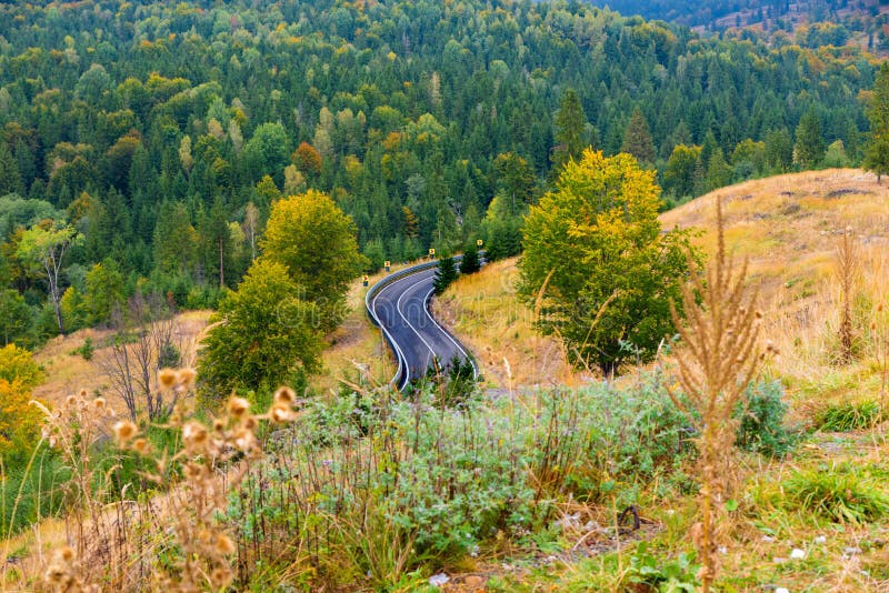Fall scenic empty road stock image. Image of september - 159669675
