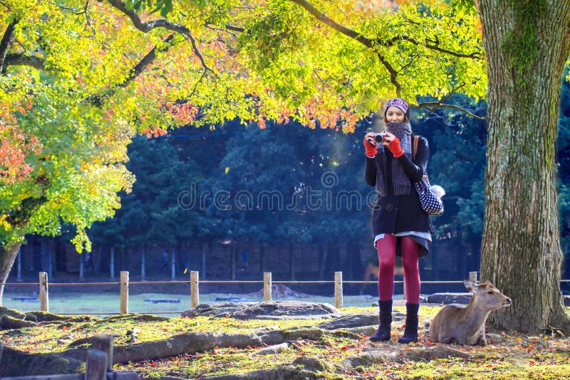Fall Season with Beautiful Maple Color at Nara Park, Japan Stock Photo ...