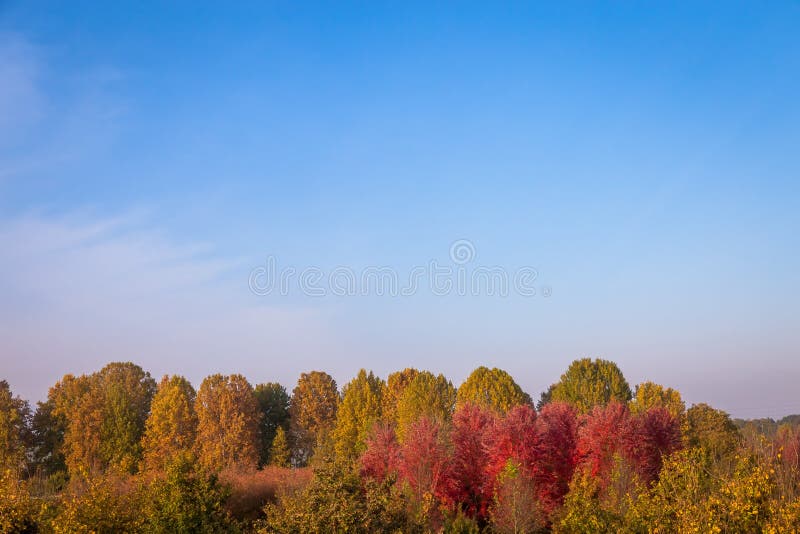 Fall Season with Blue Sky and Amazing Day Light Stock Image - Image of ...