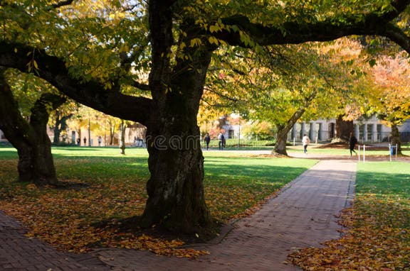 304 Campus Quad Trees Stock Photos - Free & Royalty-Free Stock Photos ...