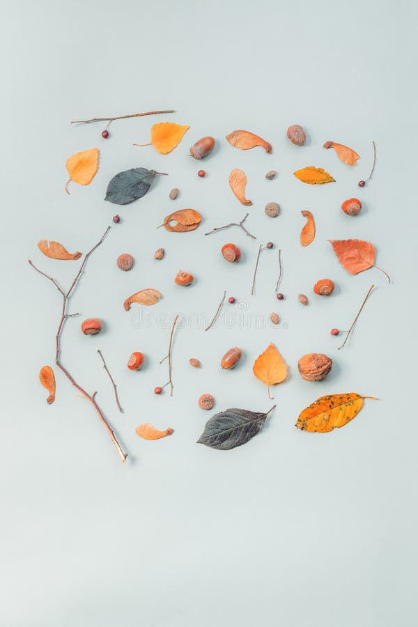 Fall Season Flat Lay Decoration Background Stock Photo - Image of ...