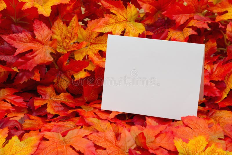 Fall Season Greeting with Blank Card Stock Image - Image of leaves ...