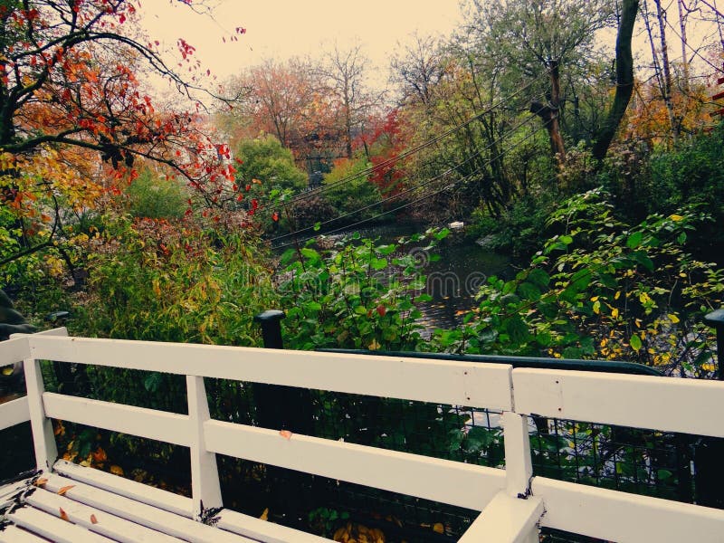 Fall season is here stock image. Image of view, automn - 93515279