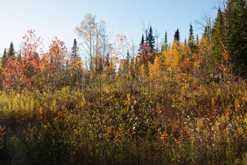 Fall Season Landscape Scenery Colorful Bright Day Stock Photo - Image ...