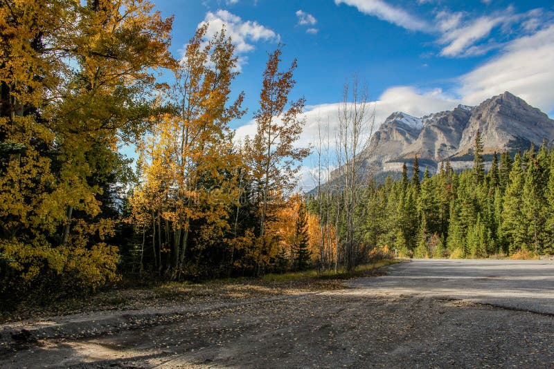 Fall Season in the Mountains of Alberta Canada Stock Image - Image of ...