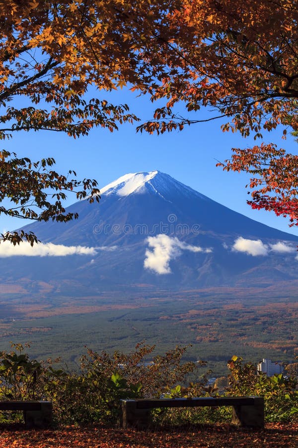 Fall Season of Mt. Fuji in Japan with Nice Yellow Color Stock Photo ...