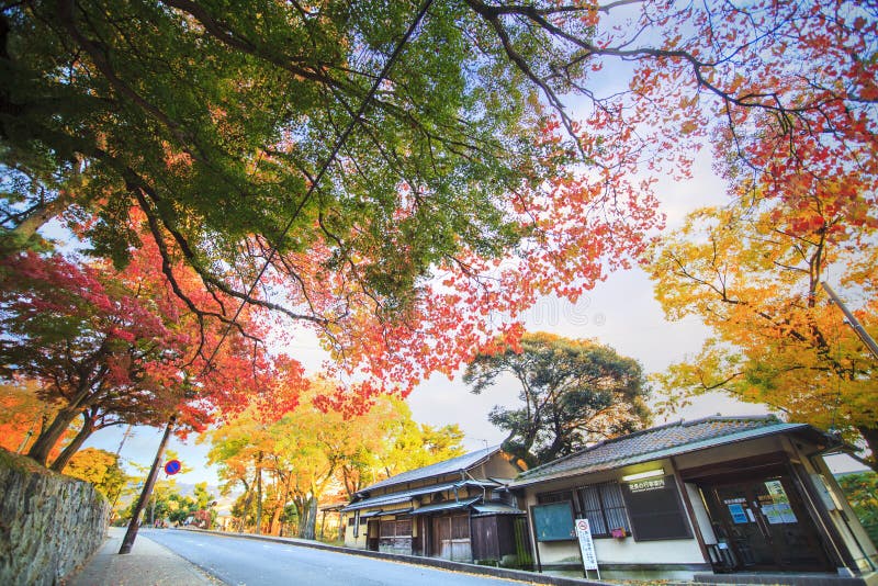 Fall Season of Nara with Nice Maple Color Editorial Stock Image - Image ...