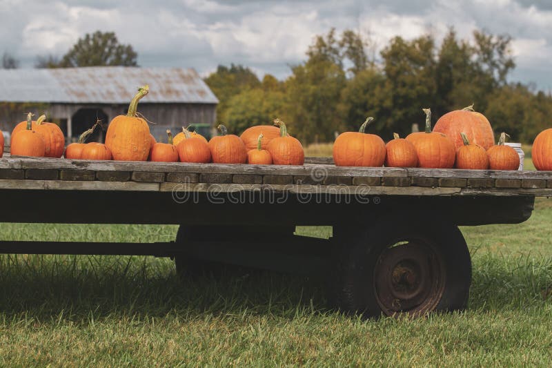 Fall Season Pumpkins Sit on Top of a Wooden Trailer in Front of an Old ...