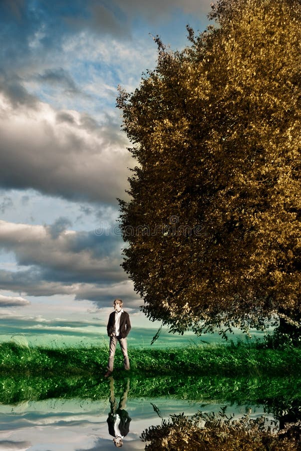 Fall season view stock photo. Image of leafs, skyline - 16261262