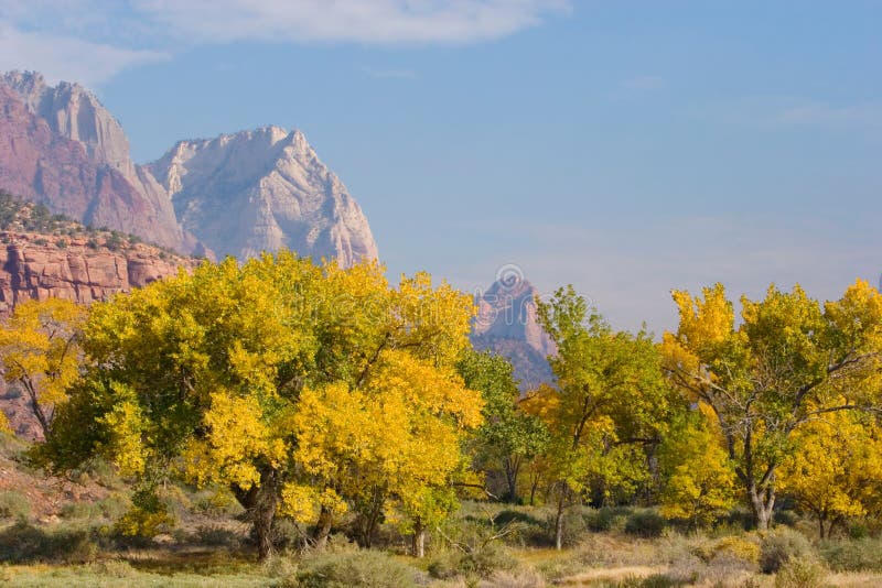 Fall Season in Zion National Park Stock Image - Image of autumn, view ...