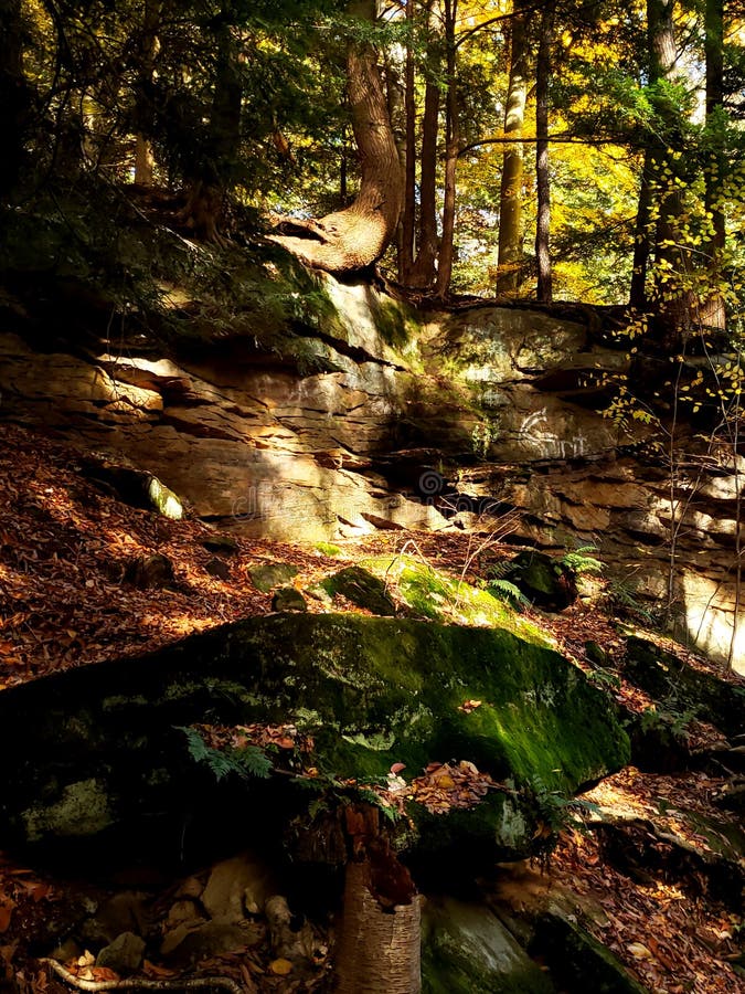 Fall shadows stock photo. Image of hiking, ravine, shadows - 131796528