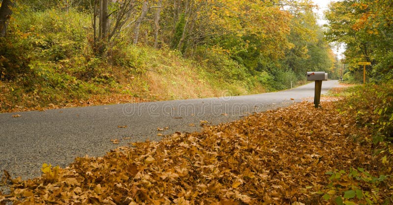 Mailbox Leaves Fall on the Side Road Stock Image - Image of gravel ...