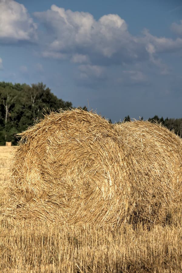 Fall. Slanted field. stock image. Image of dawn, cloud - 81151605