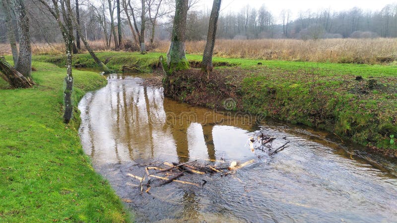 In the Fall, in a Small River Flowing among the Forests, the Water is ...