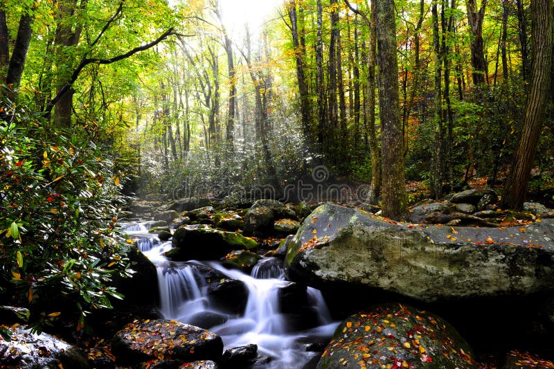 Silky Autumn Stream in the Smokies Stock Image - Image of branches ...