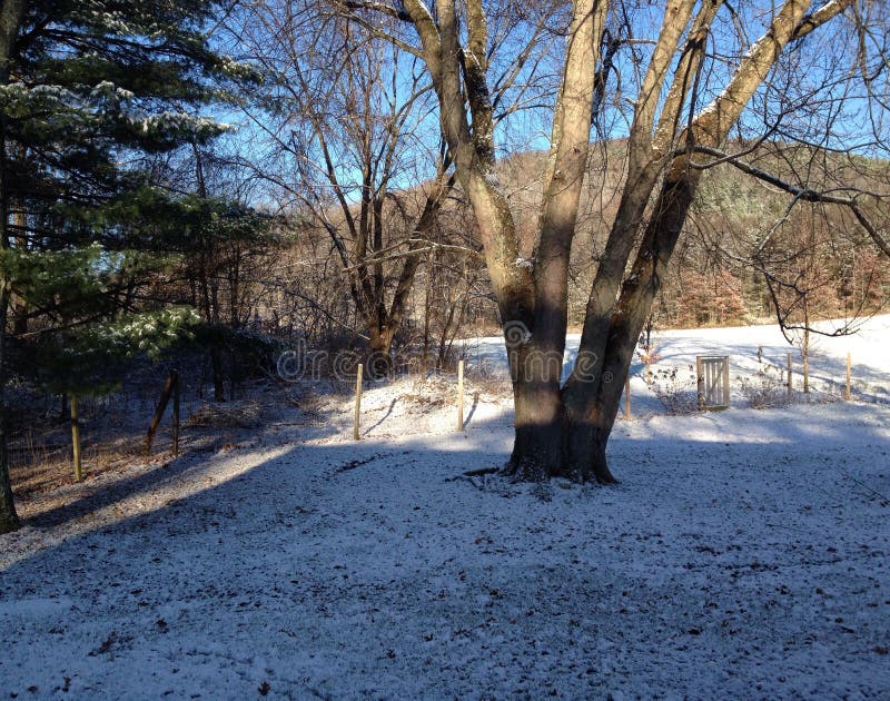 Fall snow stock photo. Image of perfection, build, tool - 46801994