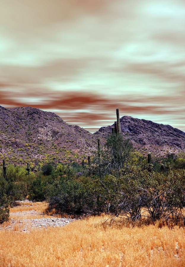 Fall in the Sonora Desert Mountains Stock Image - Image of desolate ...