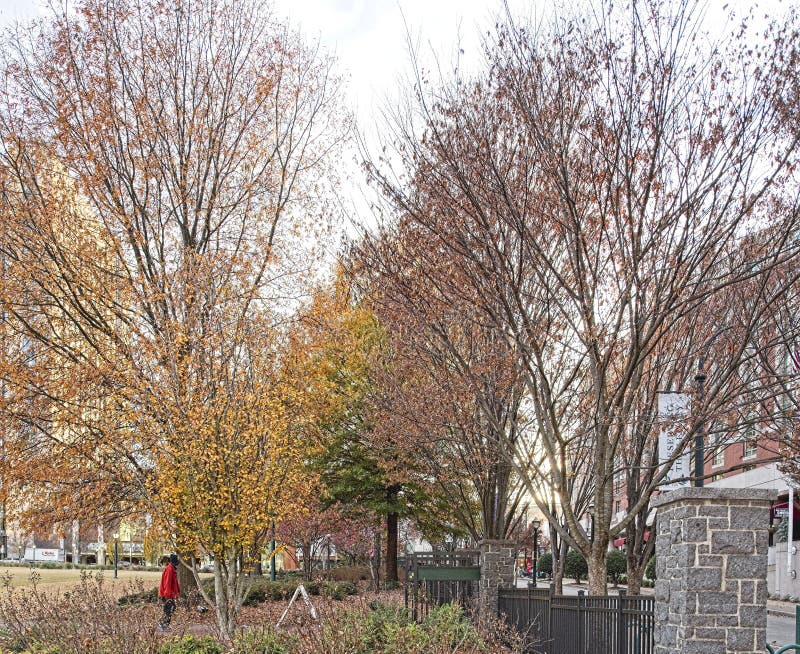 Fall in the south editorial stock photo. Image of south - 62988818