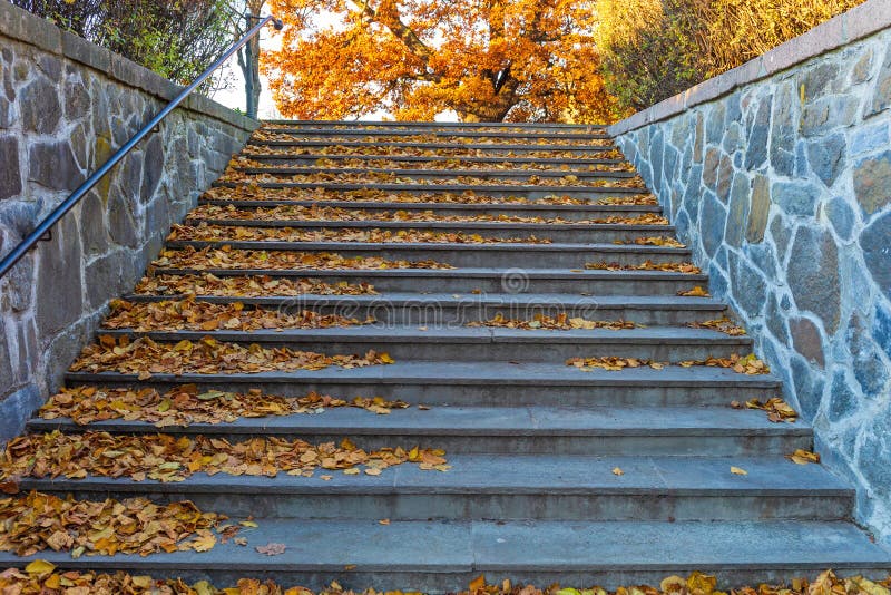 Fall Stairs stock image. Image of foliage, stone, stairway - 172911439