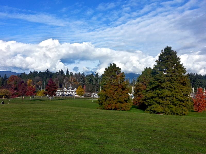 Fall in stanley park stock image. Image of redtrees, nature - 35493009
