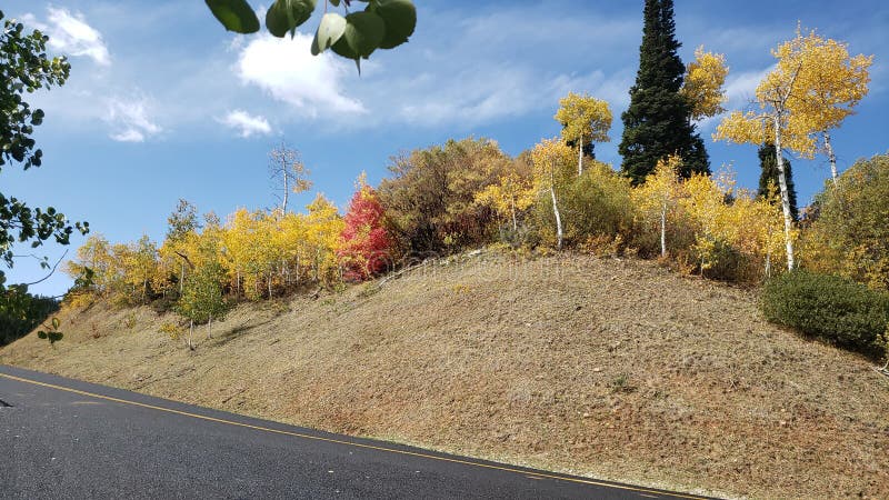 Fall start canyon stock image. Image of tree, cany, leaf - 240156773
