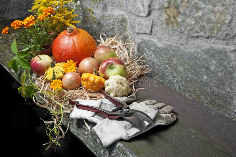 Fall still life stock image. Image of decorate, fall - 26676655