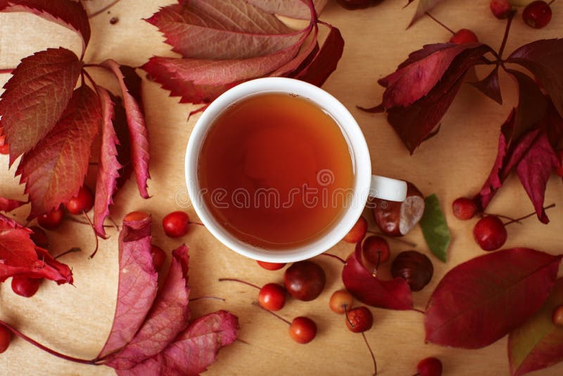 Fall Still Life with Cup of Tea Stock Image - Image of color, gourmet ...