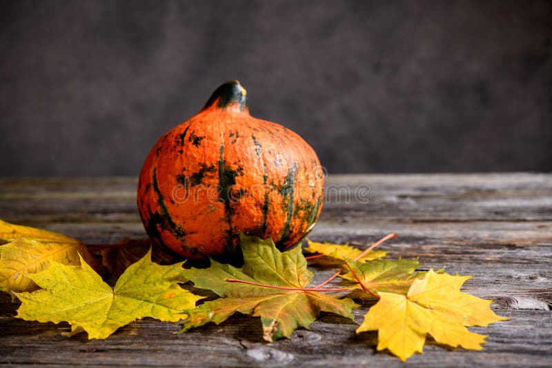 Fall-still Life with Pumpkin and Yellow Maple Leaves Stock Image ...