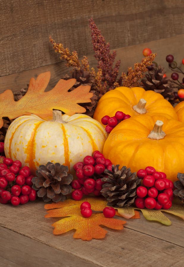 Fall Still Life With Pumpkins, Berries, And Gourd Stock Photo - Image ...