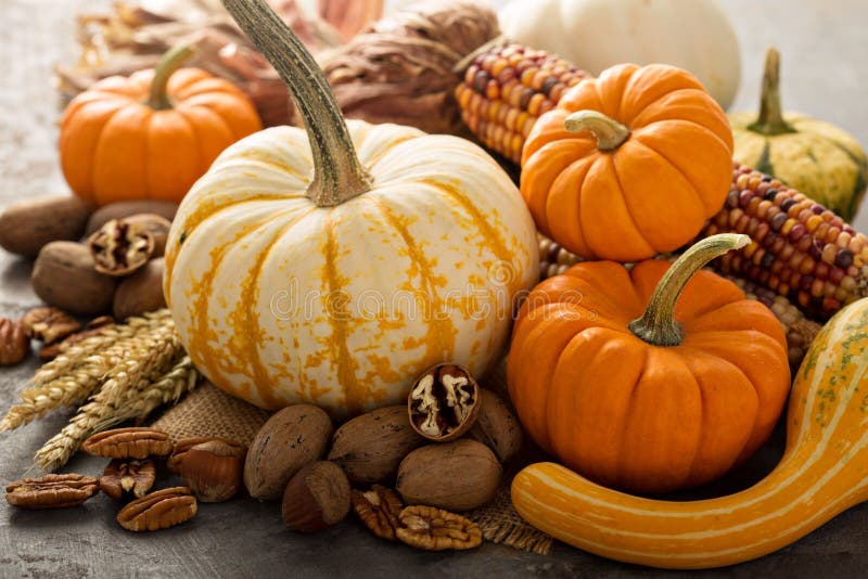 Fall Still Life with Pumpkins and Corn Stock Image - Image of life ...