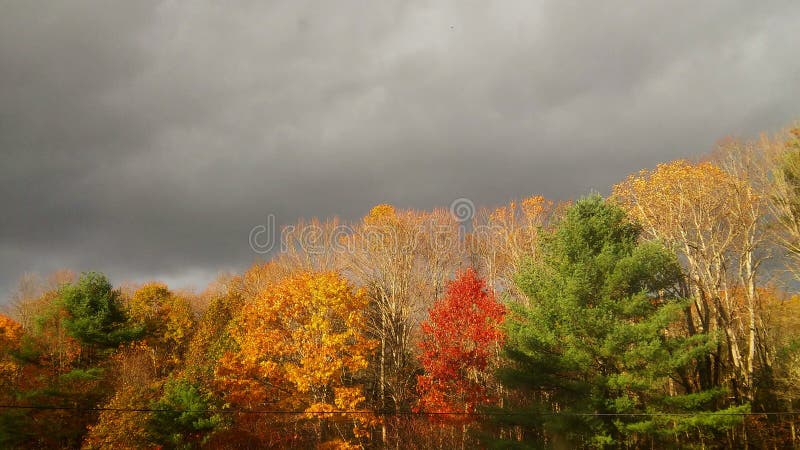 Fall storm stock image. Image of trees, fall, last, storm - 122835995